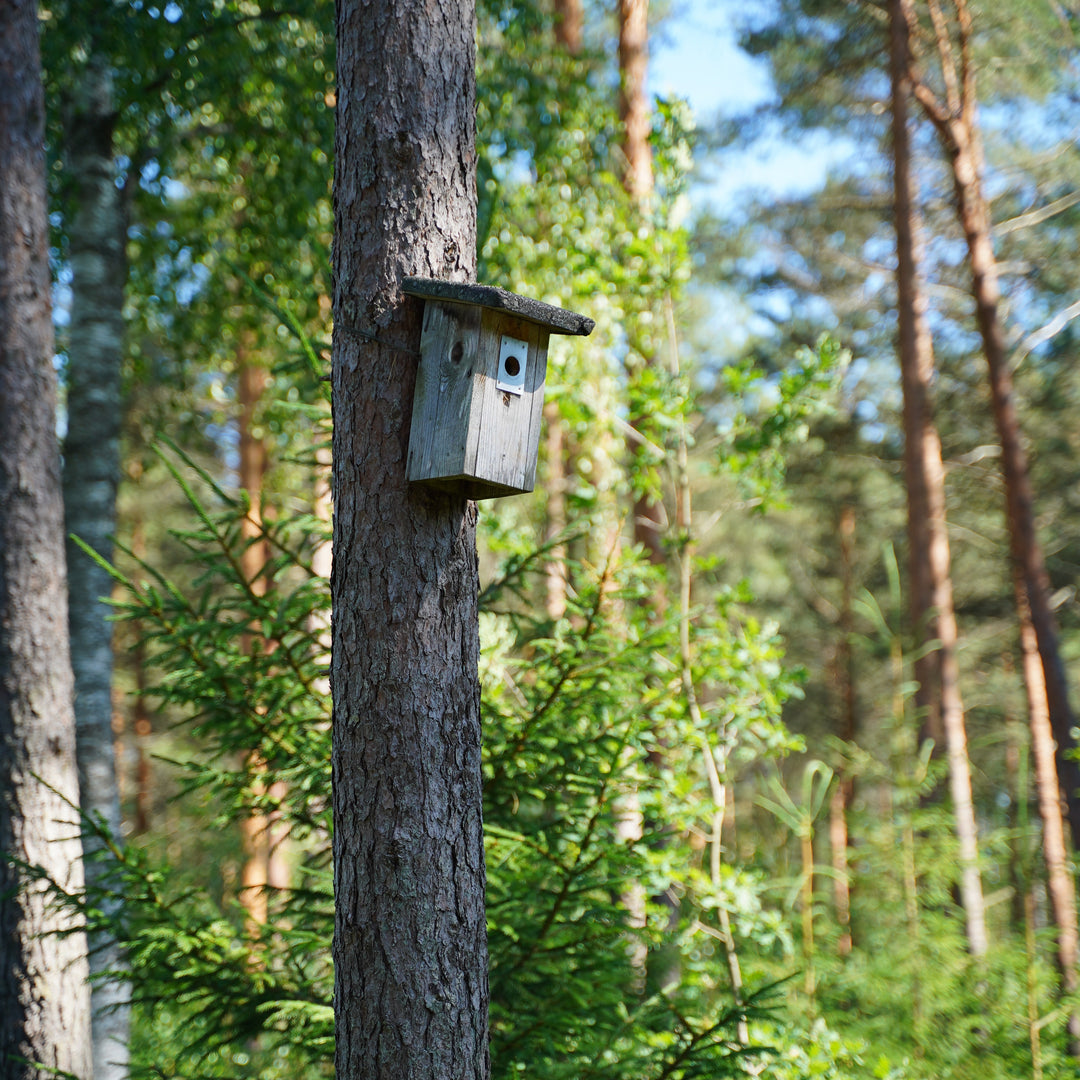 Customer Gallery – The Birdbox Company