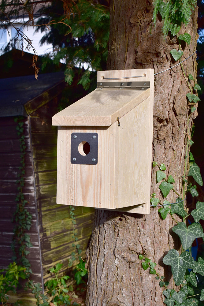 The Great British Bird Box – The Birdbox Company