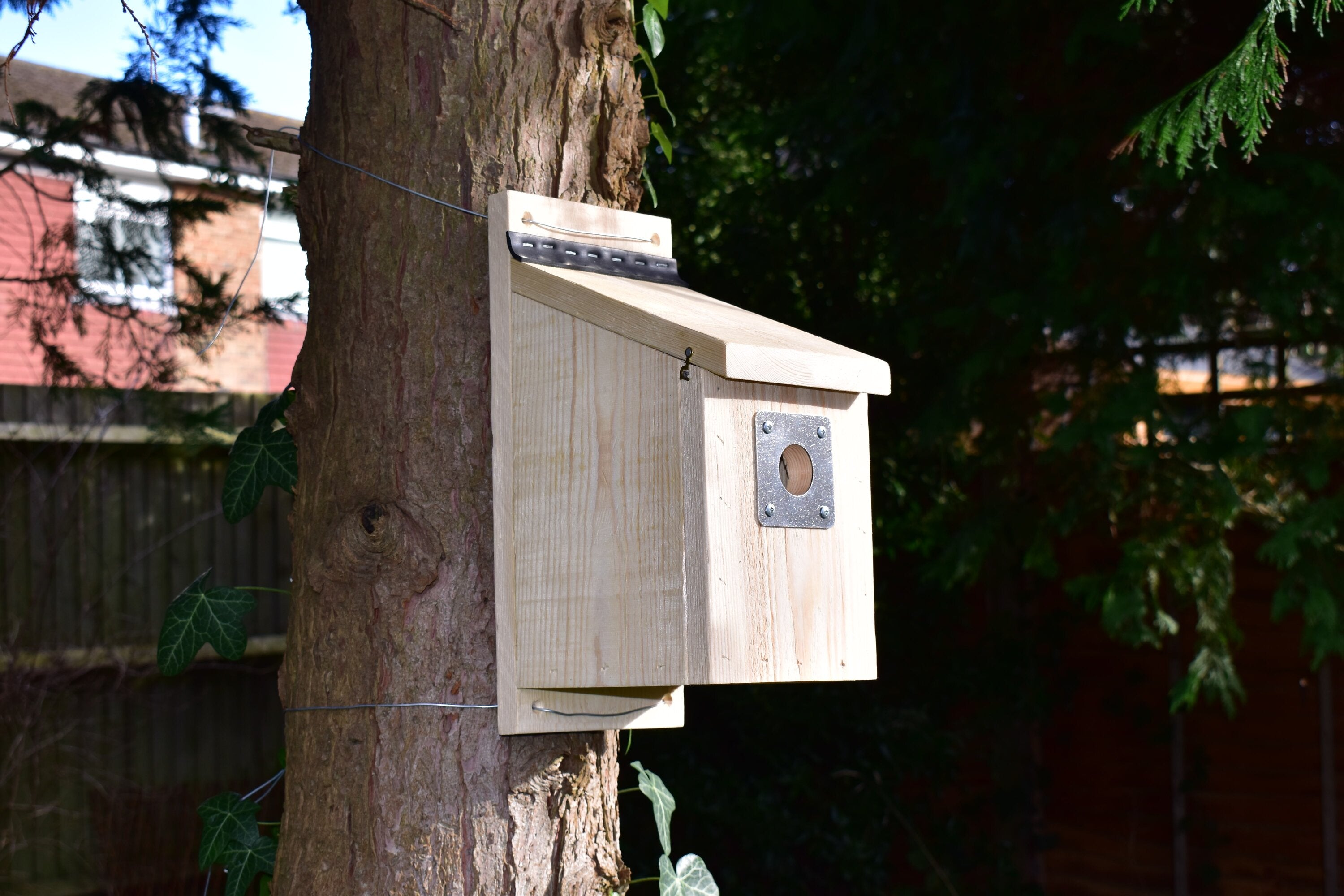 The Birdbox Company