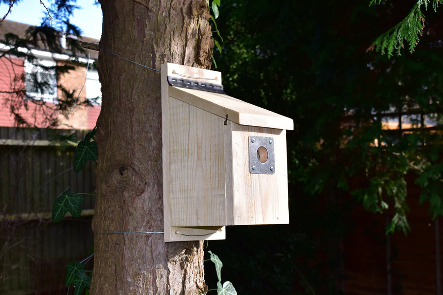 The Birdbox Company